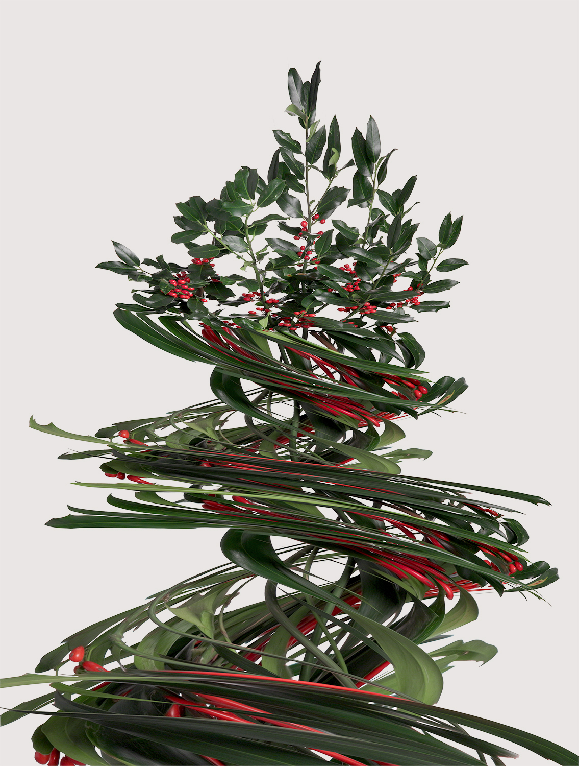 Still Life Images | Laurence Haskell
